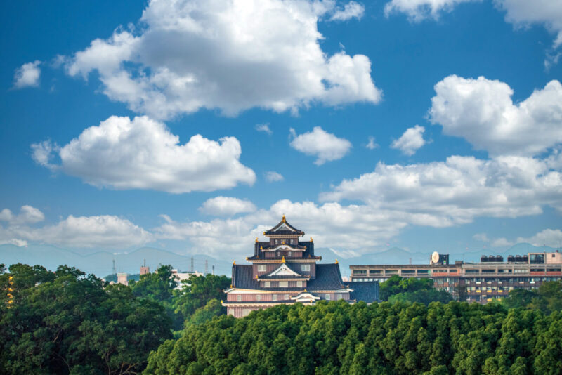 視線 を誘導して写真に命を吹き込む！撮影技術の向上ガイド » Photo Labo uho 岡山のフリーカメラマン イベント撮影 商業撮影